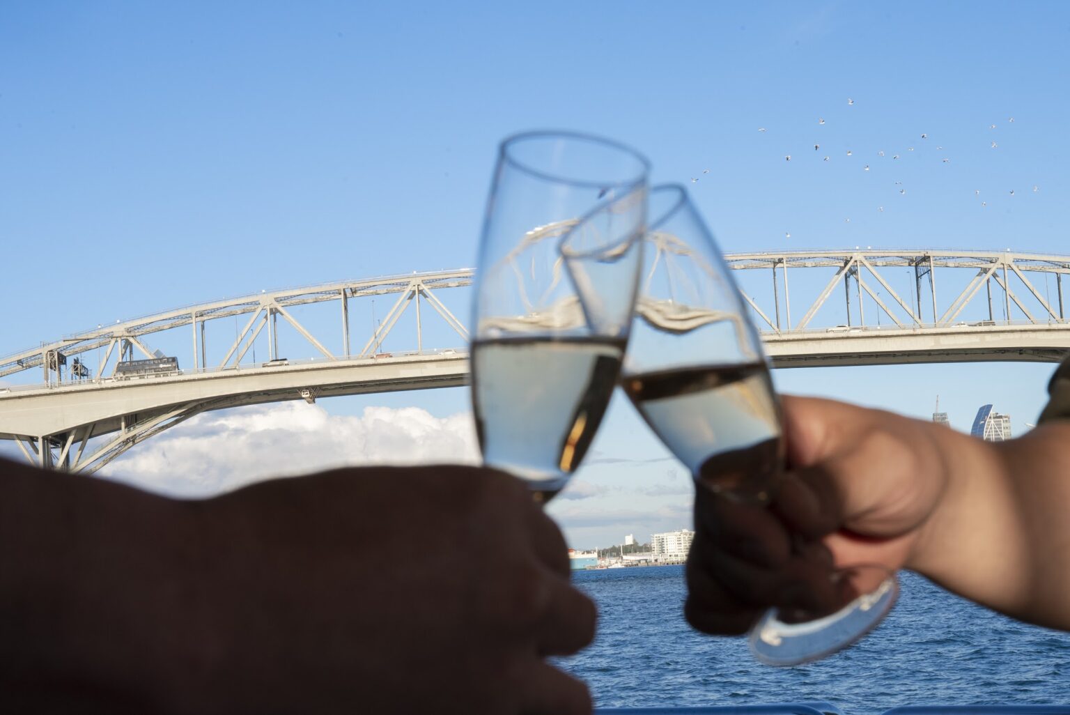 Regal Flyer - Luxury Yacht charter for hire in Auckland - Regal Flyer ...